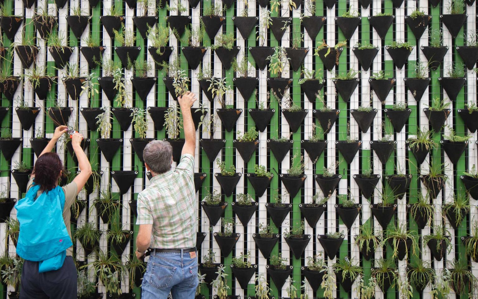 Disposable culture – Part II - Bridgr Insights